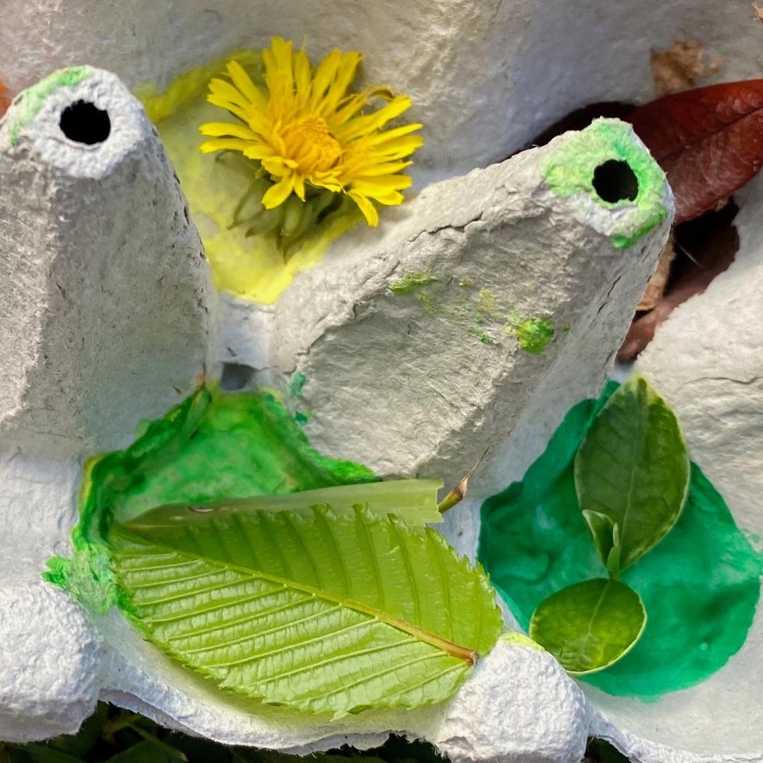 Five Senses Toddler Activity Plans | Early Childhood Lesson Plans