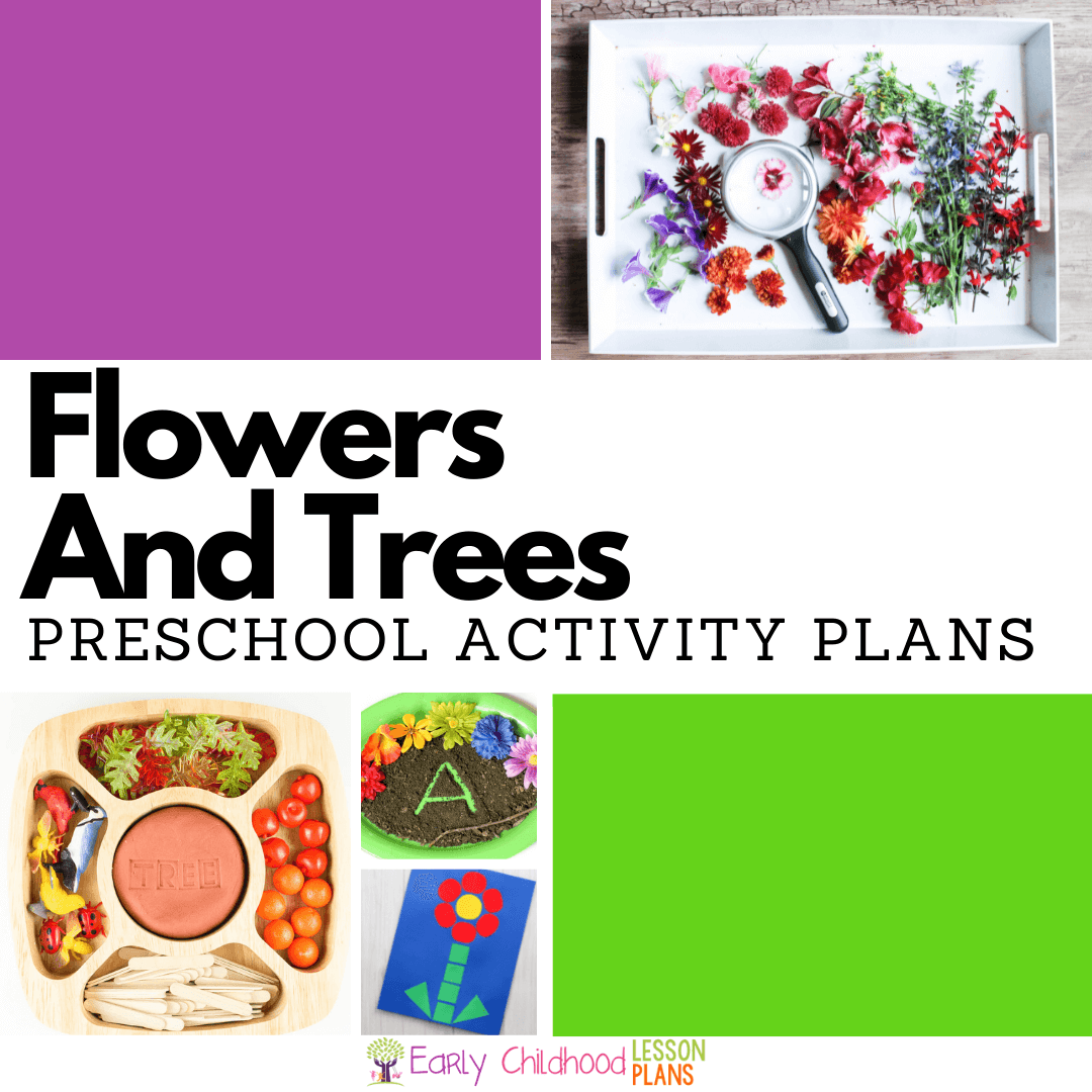 Flowers and Trees Preschool Activity Plans | Early Childhood Lesson Plans