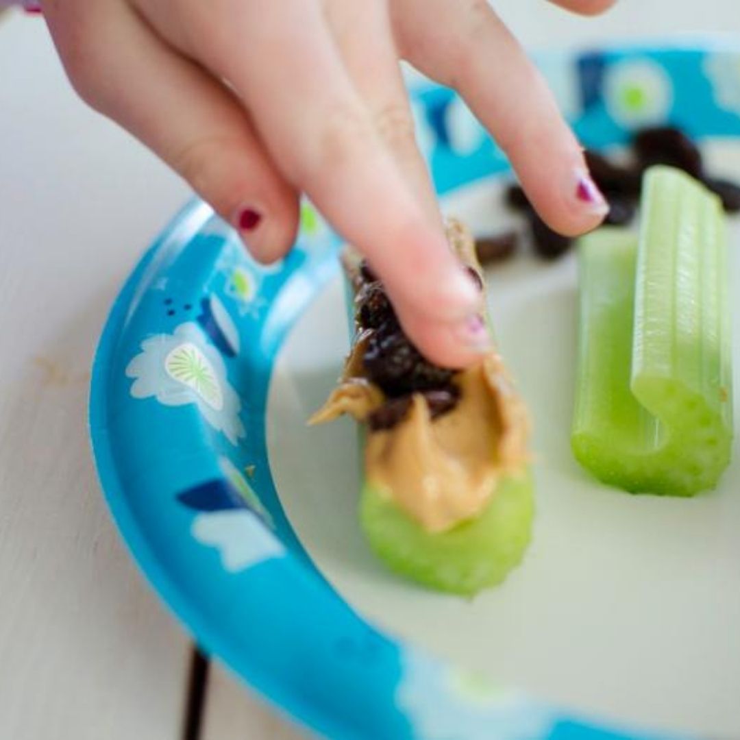 Bugs, Butterflies and Insects Toddler Activity Plans | Early Childhood ...