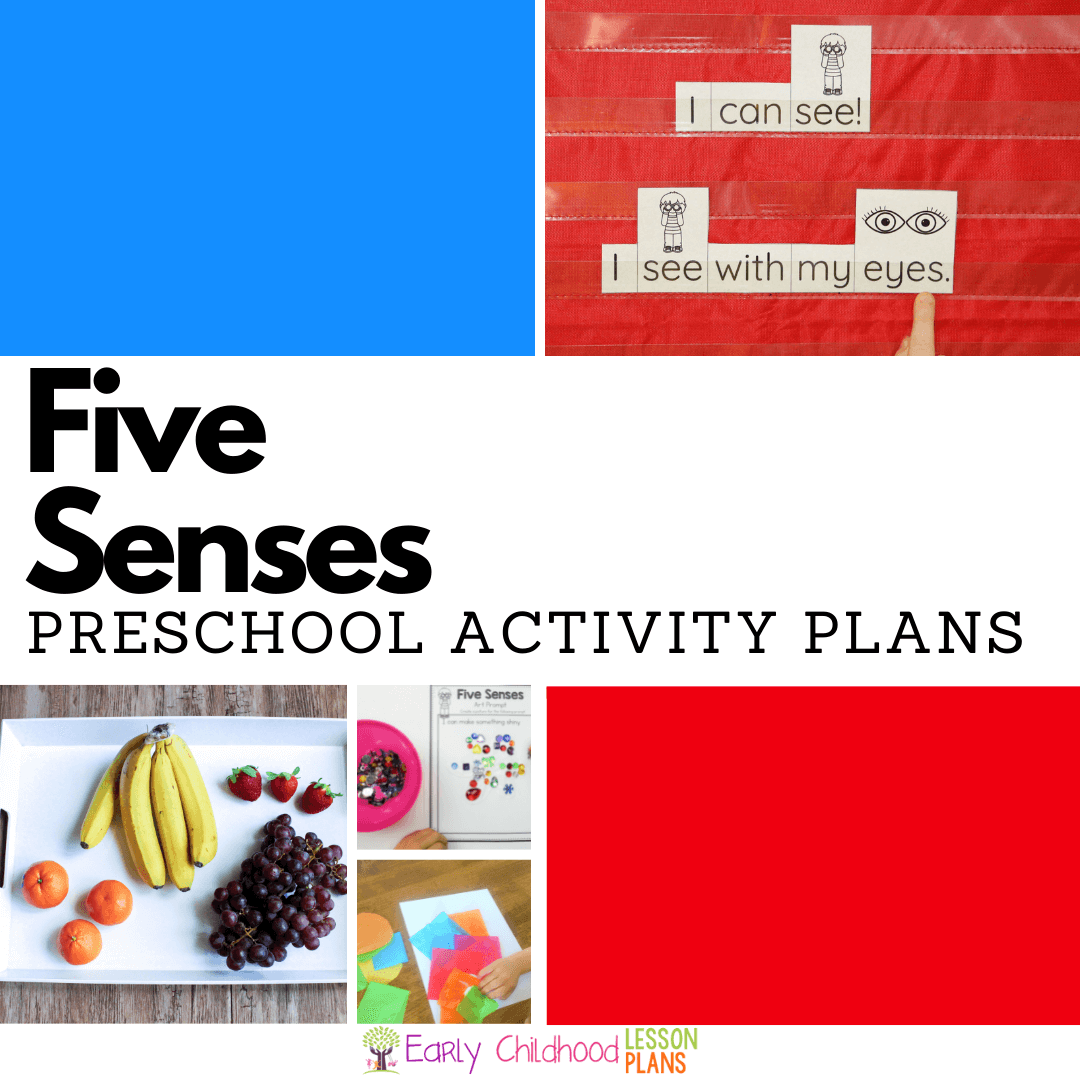 Five Senses Preschool Activity Plans | Early Childhood Lesson Plans